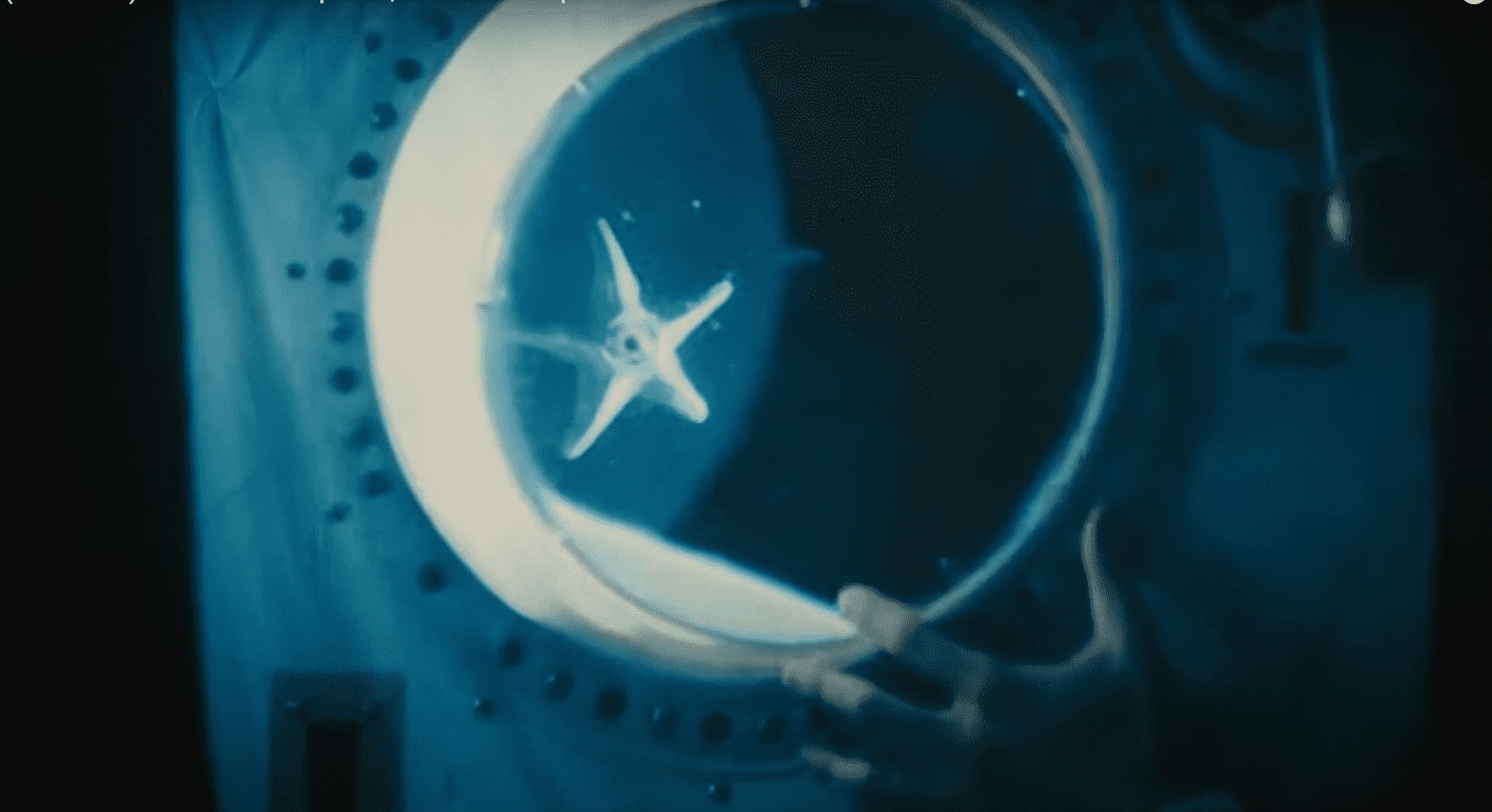 'The Suicide Squad' Ending Explained: Who Is Behind Project Starfish?